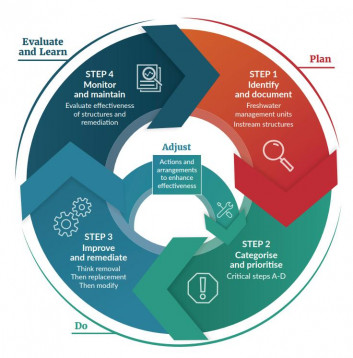 Fish passage action plan guidance | Ministry for the Environment