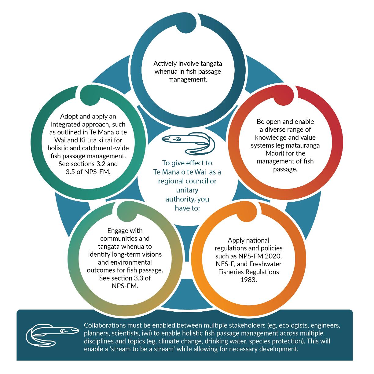 Fish passage action plan guidance | Ministry for the Environment