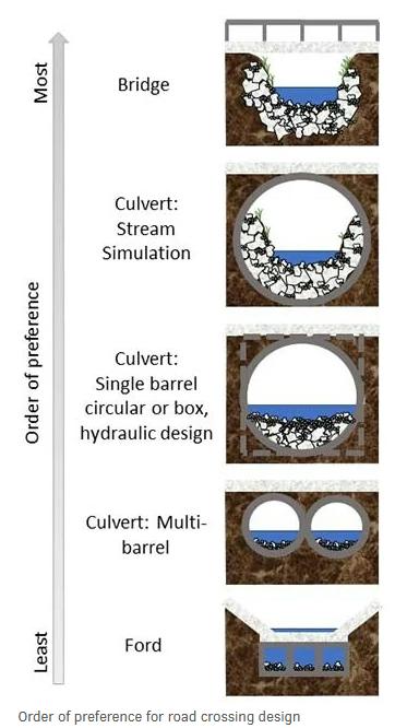 Fish passage action plan guidance | Ministry for the Environment