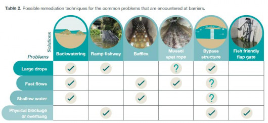Fish passage action plan guidance | Ministry for the Environment