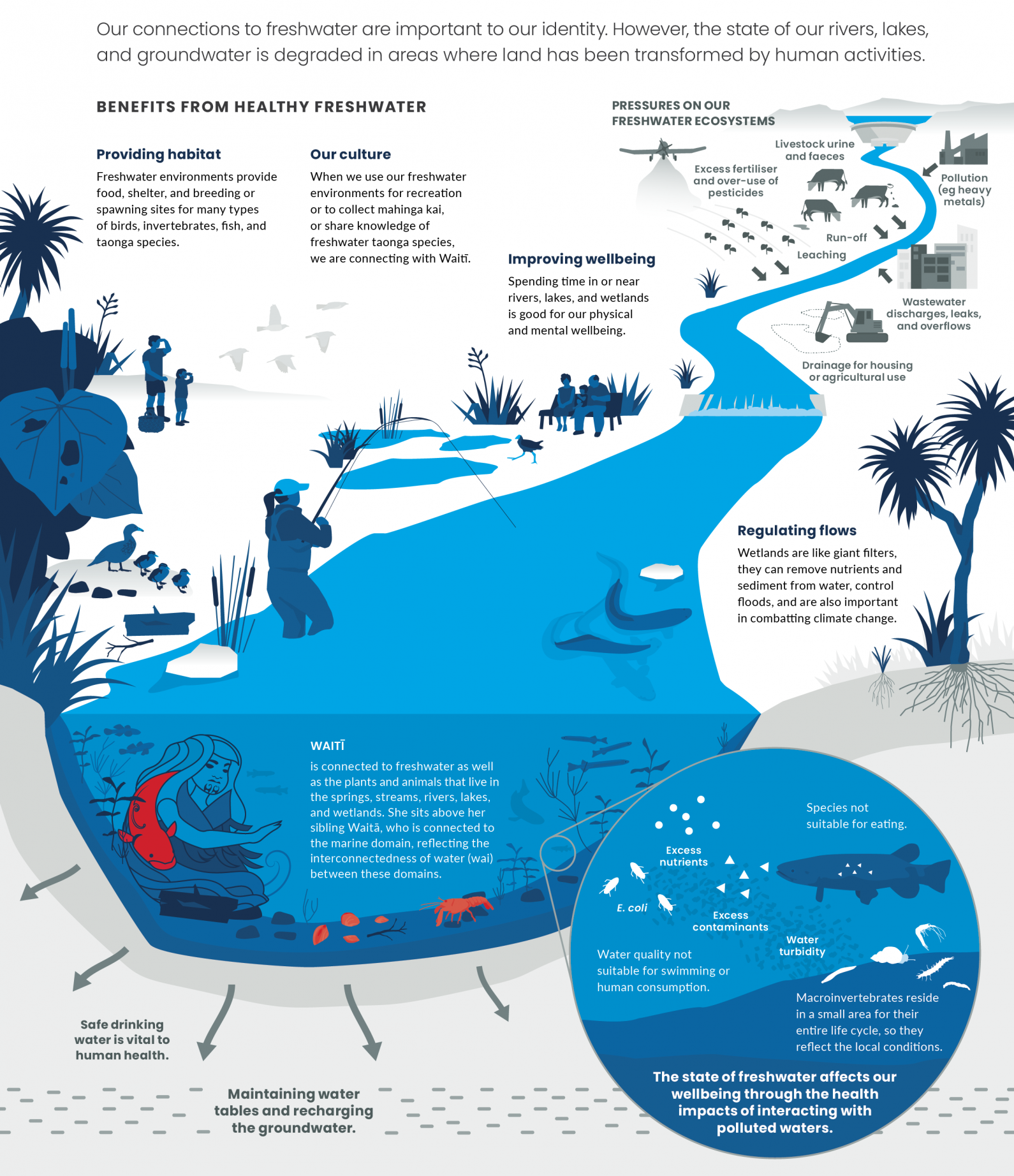 Waitī – Freshwater | Ministry for the Environment