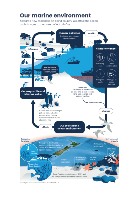 Our Marine Environment 2025 | Ministry for the Environment