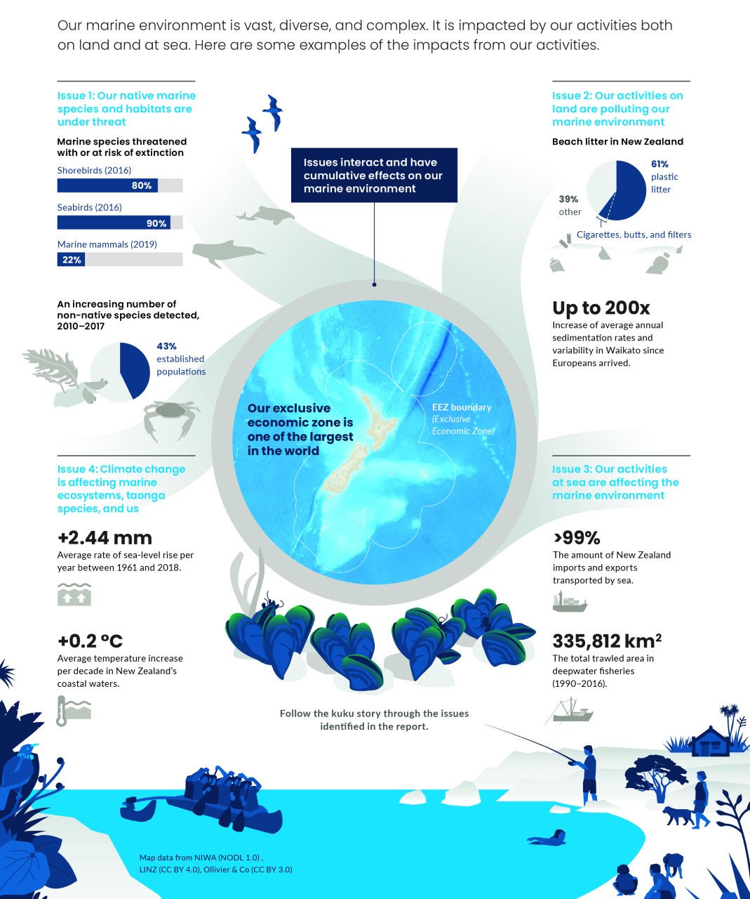 Our marine environment at a glance | Ministry for the Environment