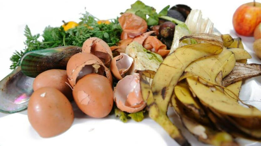 Food scraps | Ministry for the Environment