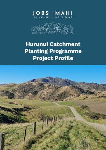 Hurunui catchment planting programme | Ministry for the Environment