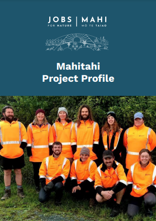 Jobs for Nature - Mahitahi Project Profile | Ministry for the Environment