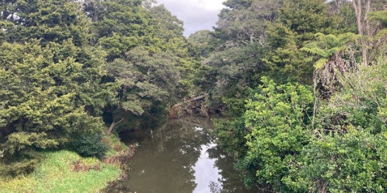 Biodiversity Asset Mapping of Bream Bay | Ministry for the Environment