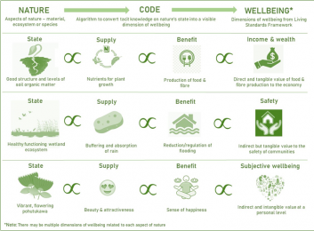 Codifying the relationship between nature and people | Ministry for the ...