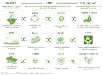 Codifying the relationship between nature and people | Ministry for the ...