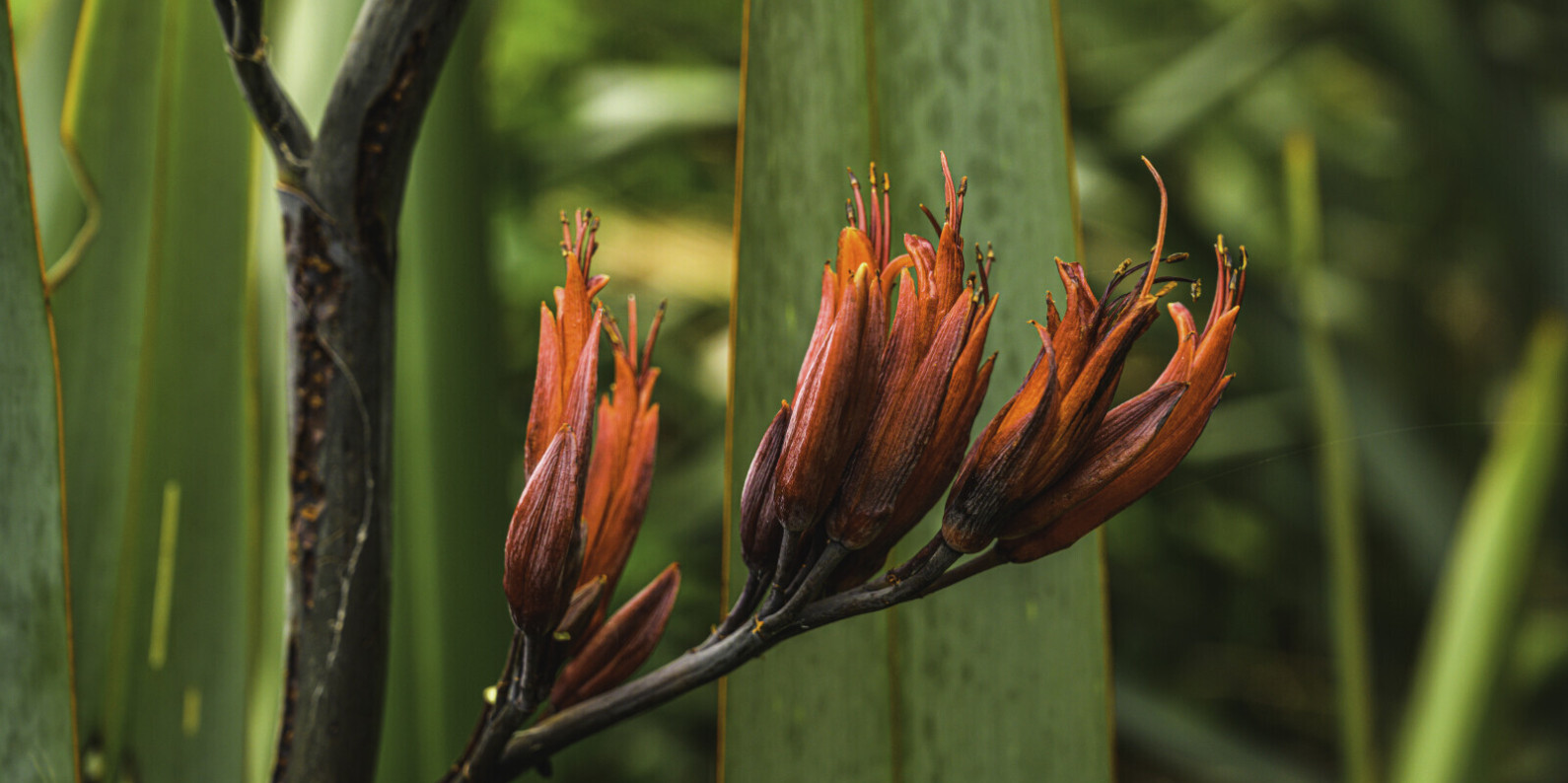 Government backs trusted voluntary nature and carbon markets | Ministry ...