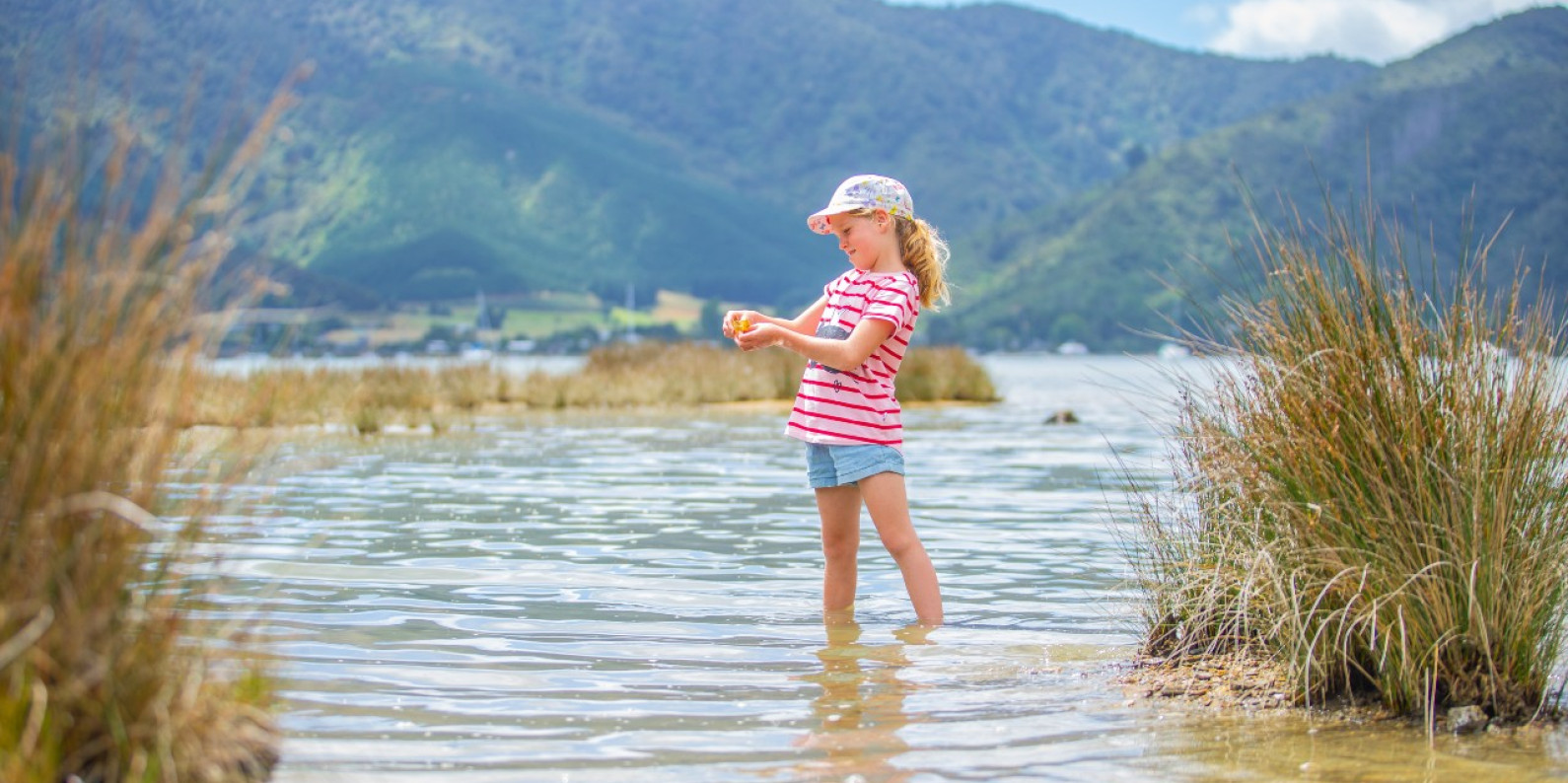 Action for healthy waterways | Ministry for the Environment