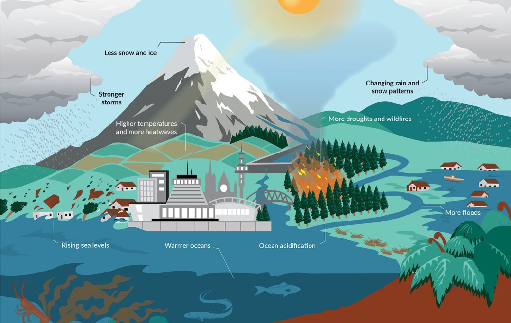 Adapting to climate change: Our long-term strategy | Ministry for the ...