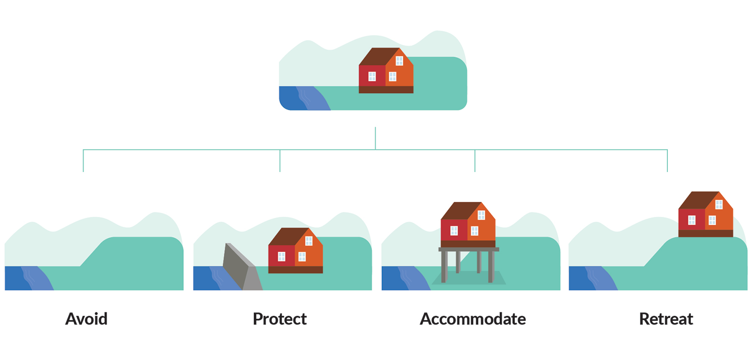 Adaptation options including managed retreat | Ministry for the Environment