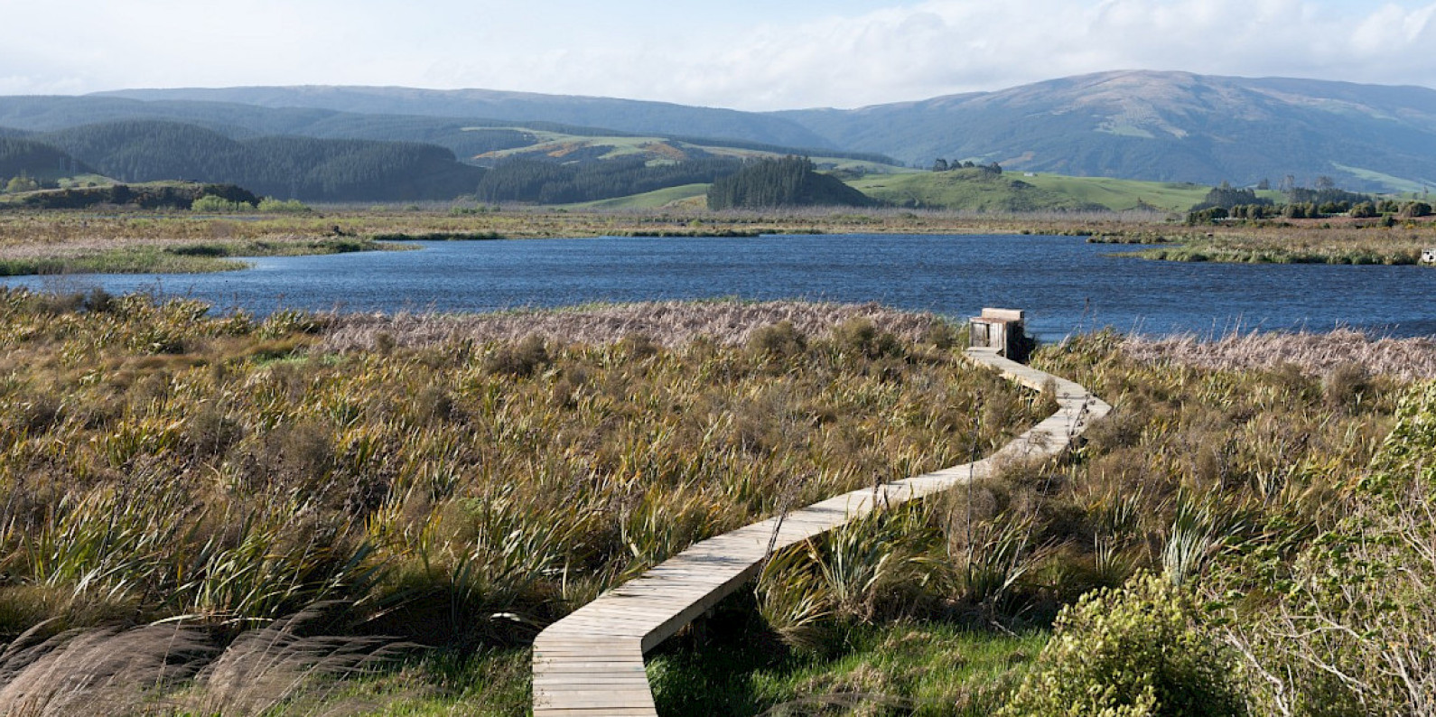 Otago Runaka Capability Development | Ministry for the Environment