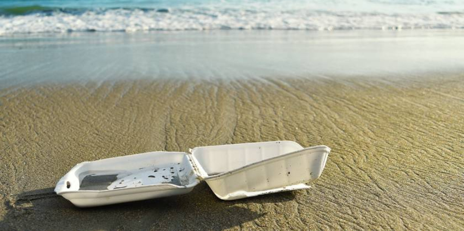 First phase-out of problematic plastics begins | Ministry for the ...