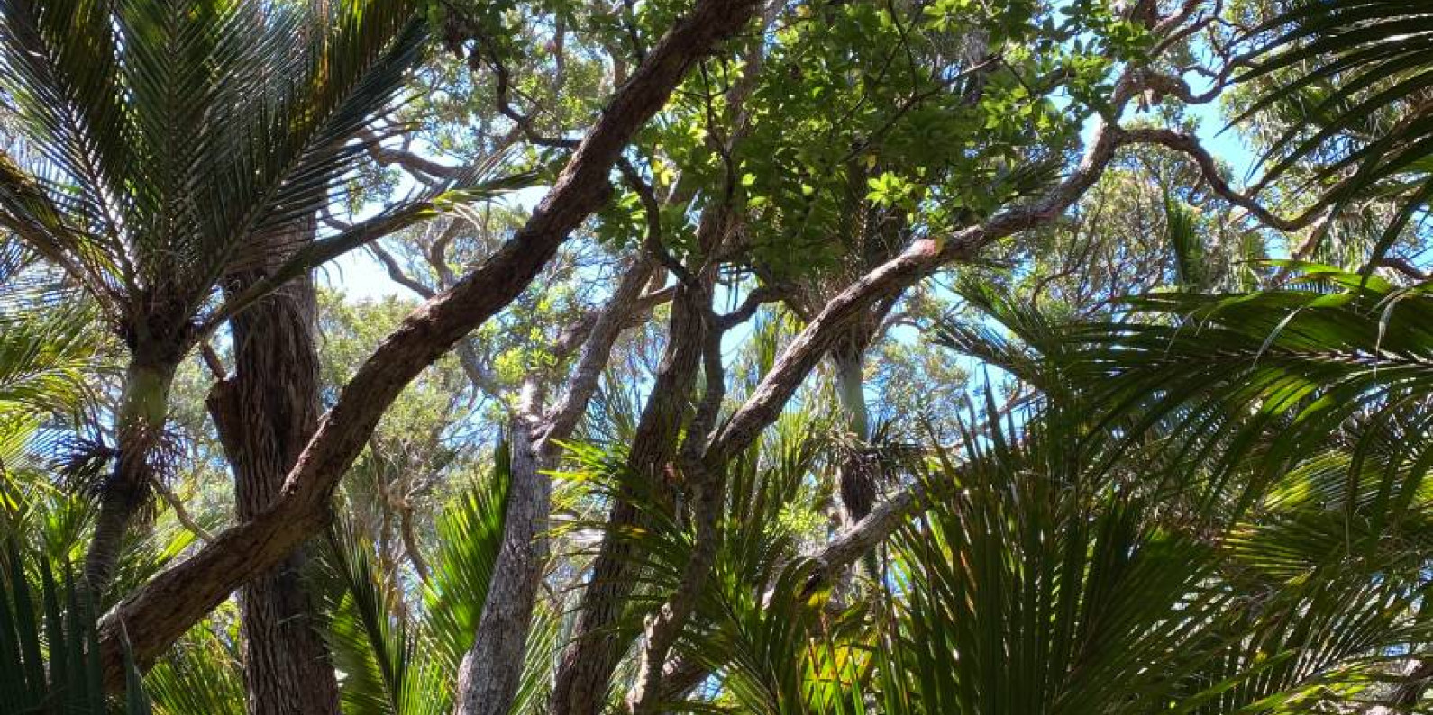 Māori Climate Platform funding supports climate resilience | Ministry ...