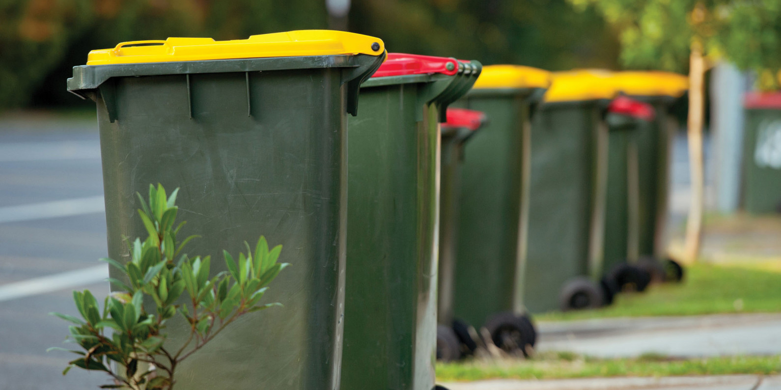 Release of the waste reduction work programme | Ministry for the ...