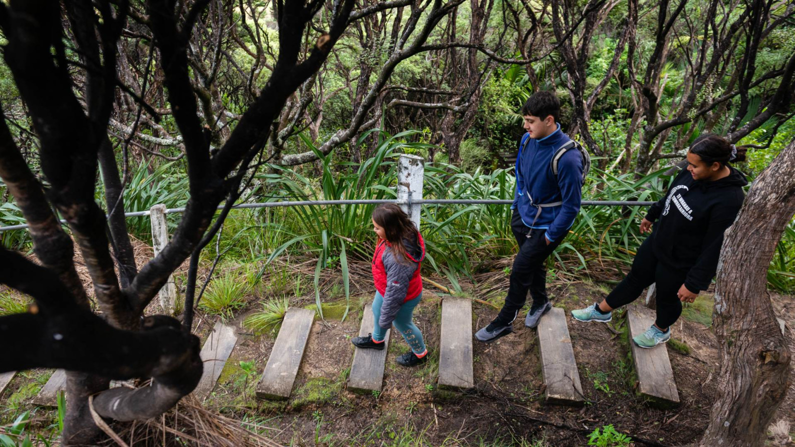 Maximising carbon in soils research | Ministry for the Environment