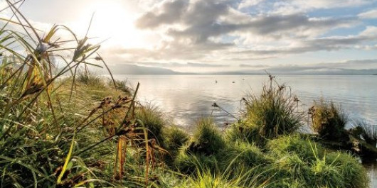 Ministry’s change decisions released | Ministry for the Environment