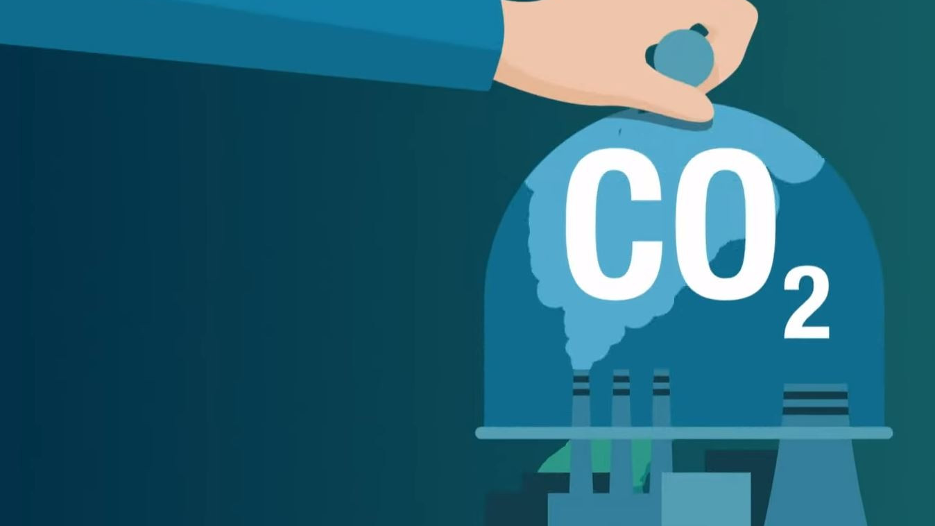 About the New Zealand Emissions Trading Scheme | Ministry for the ...