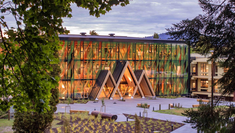 Carbon Neutral Government Programme | Ministry for the Environment