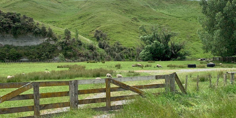 Phosphorus in Volcanic Hill Country | Ministry for the Environment