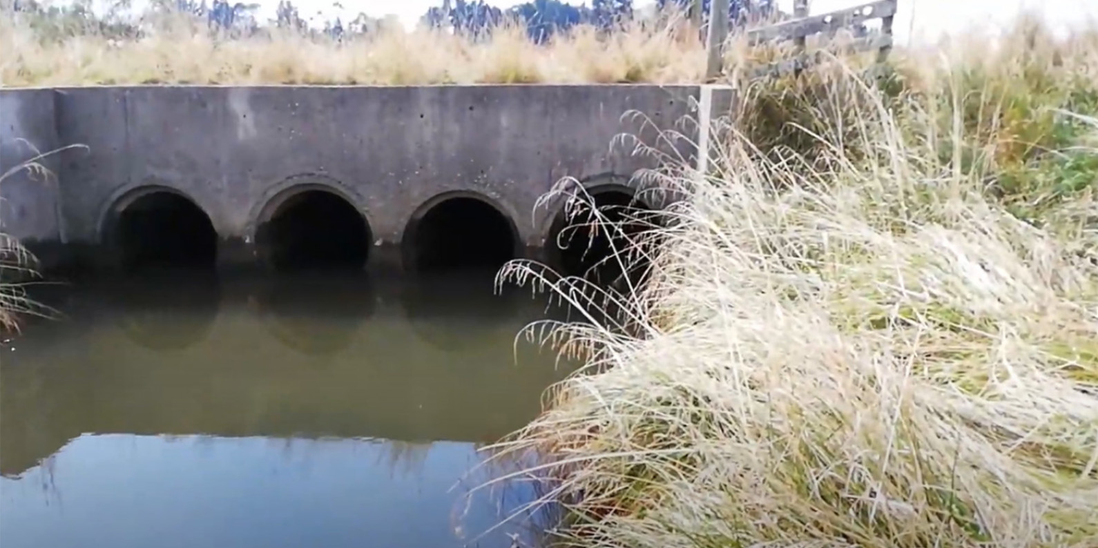 Controlling floods and protecting fish | Ministry for the Environment